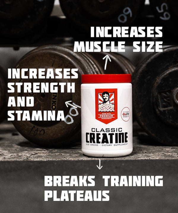 Classic Creatine Monohydrate with BioFit™ Probiotics